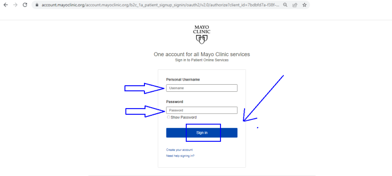 Mayo Patient Portal Log In - www.mayoclinichealthsystem.org - Digital ...