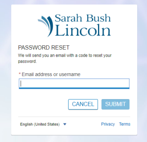 SBL Patient Portal Login @ www.sarahbush.org - Digital Patient Portal