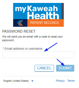 Kaweah Delta Patient Portal Login - www.kaweahhealth.org - Digital ...